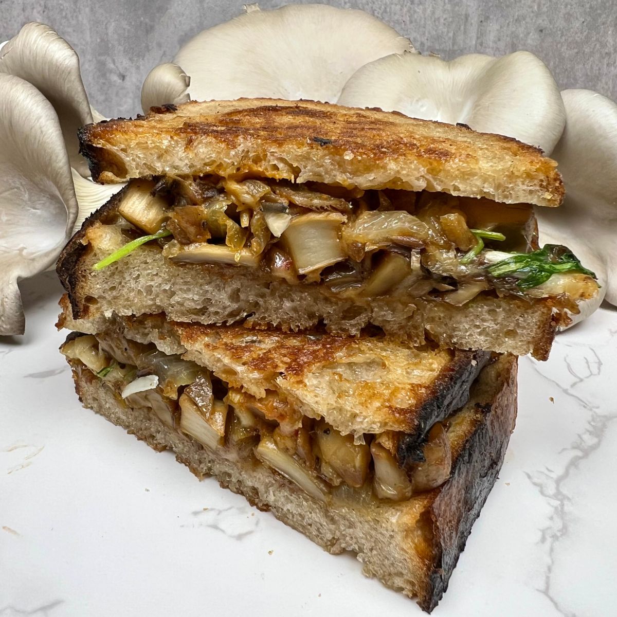 Mushroom Melt - Manifest2Heal